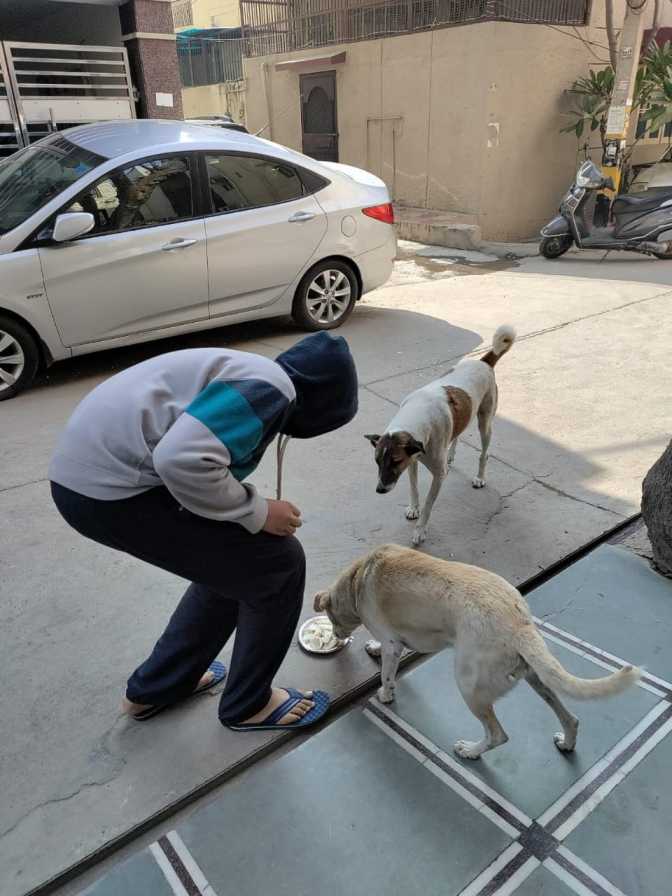 Welcome to Go Sharpener