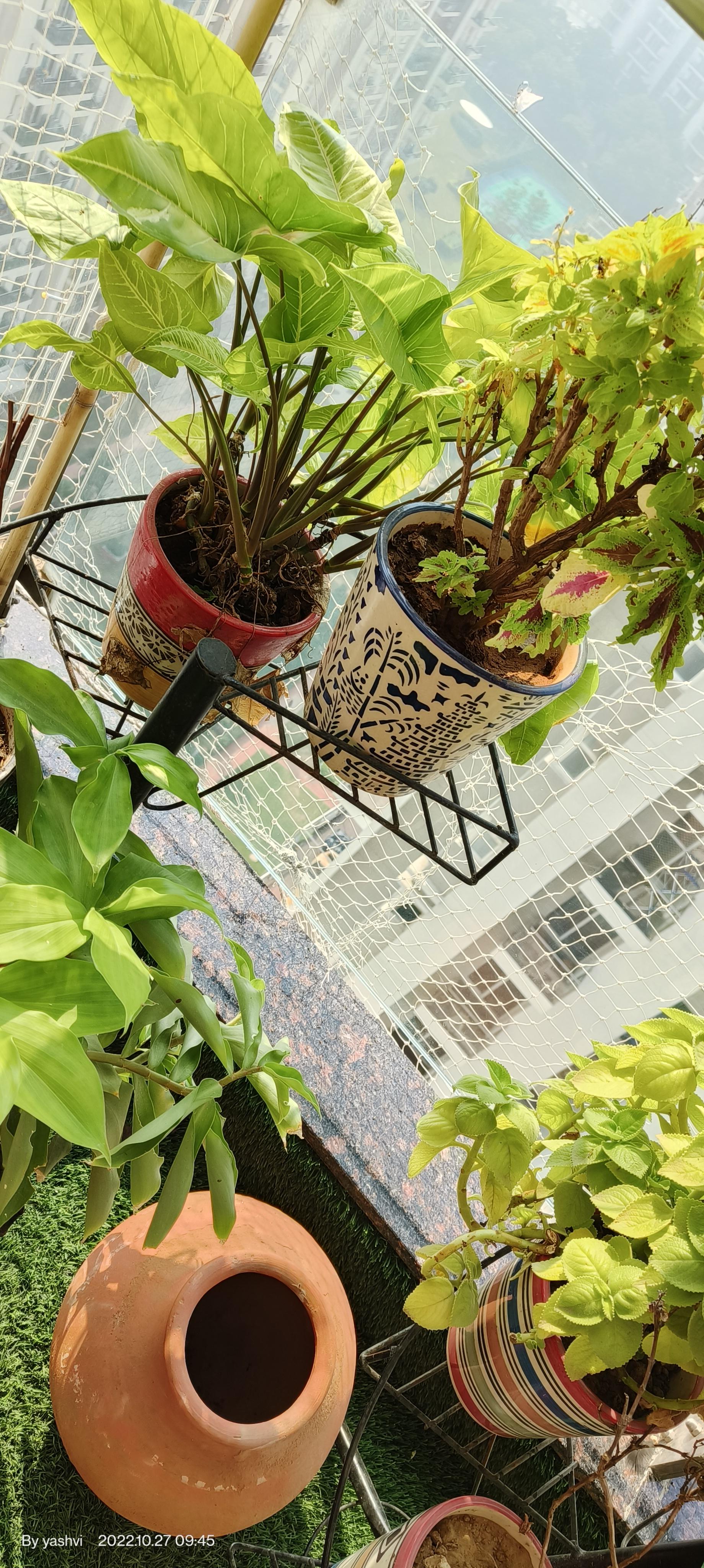 Jagrit Bhanuka - #Earthivist