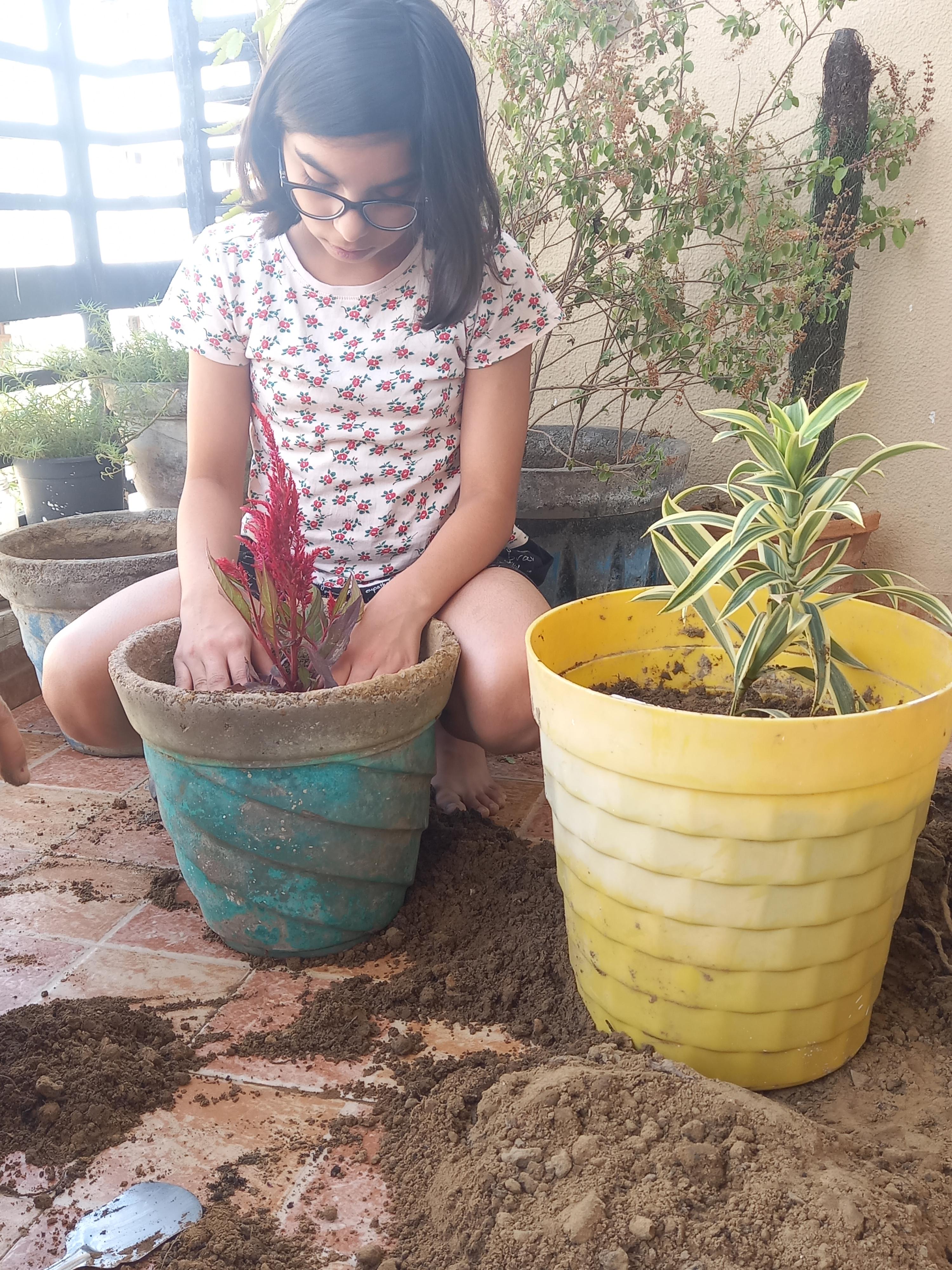 Harshita Jangra - #Earthivist