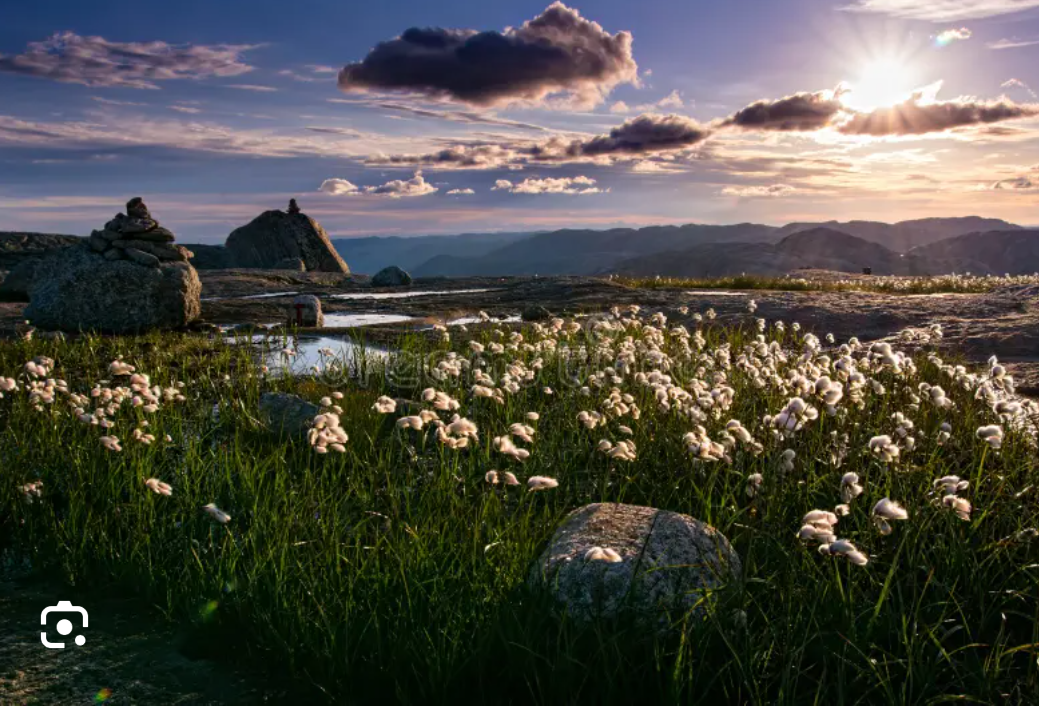 Daksh Garg - #NatureIsBeautiful #SaveIt